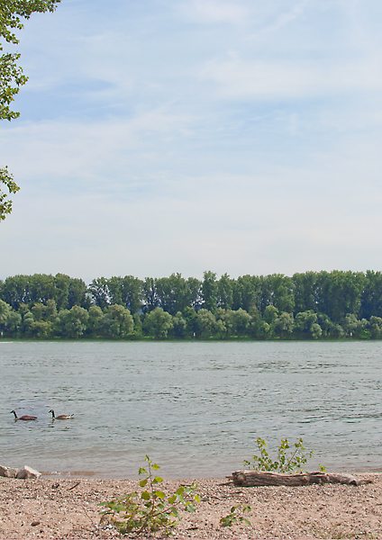 Designed by Fbg students — Tom Richter (2012)